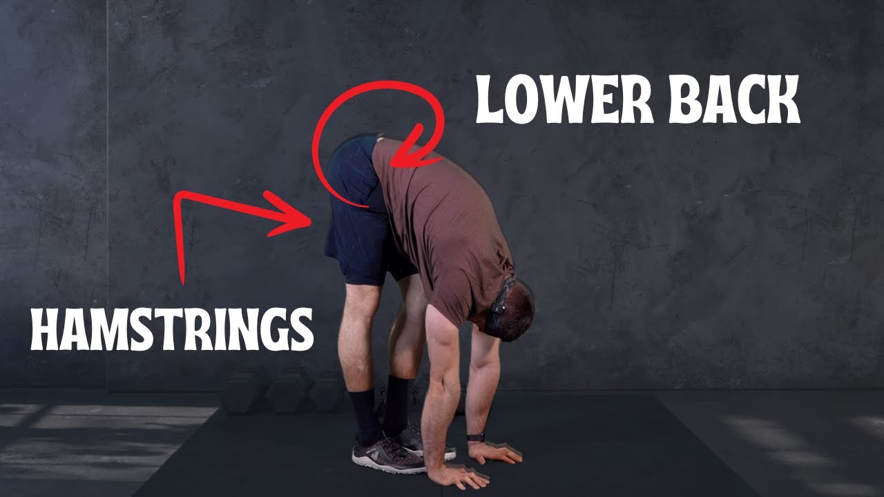 Quick Mobility Session For Spine, Hamstrings & Hips - YouTube