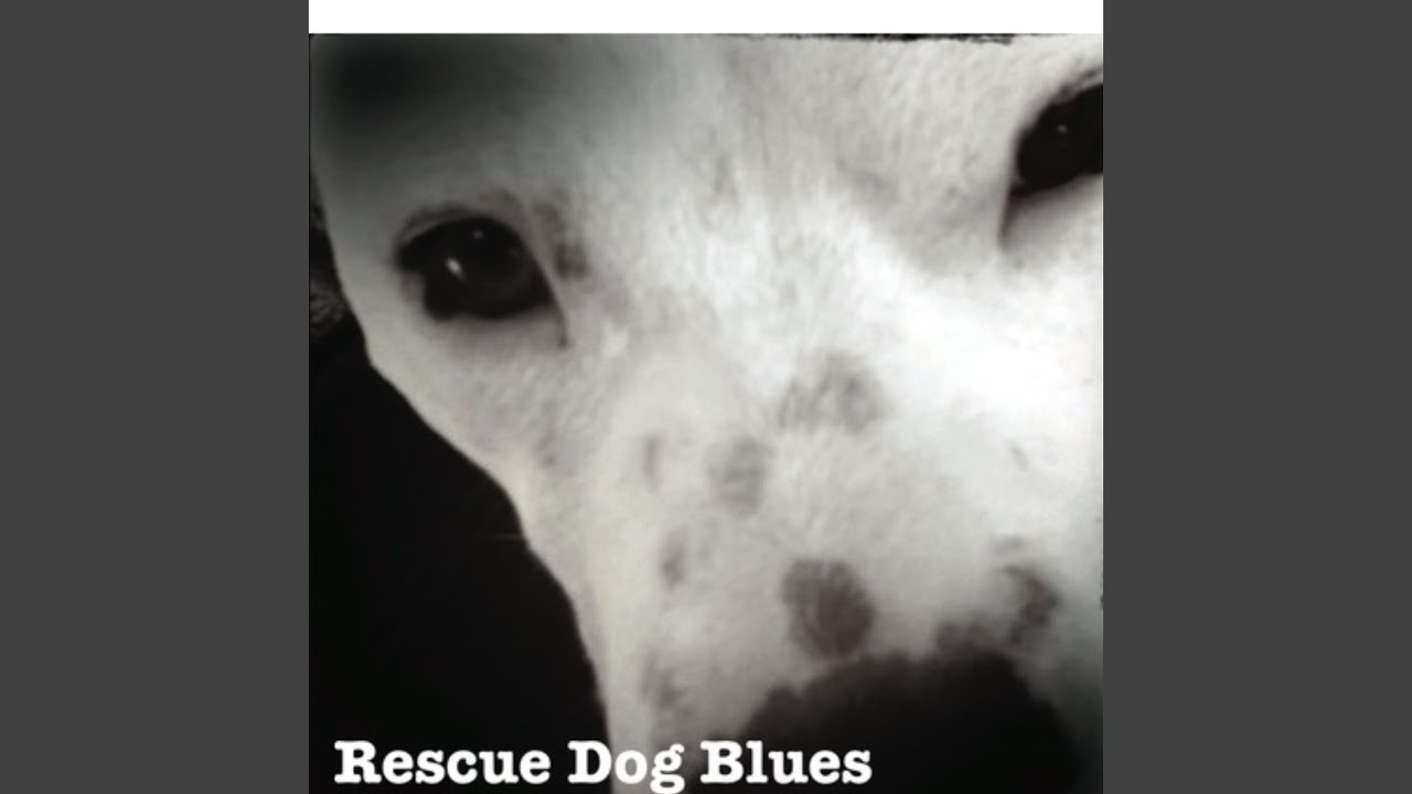 Rescue Dog Blues - YouTube