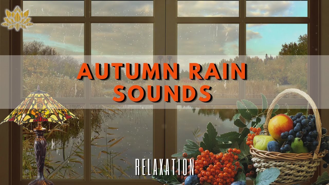 Autumn rain Sounds 🌧 Relaxing Nature Video. White nois for Stress ...