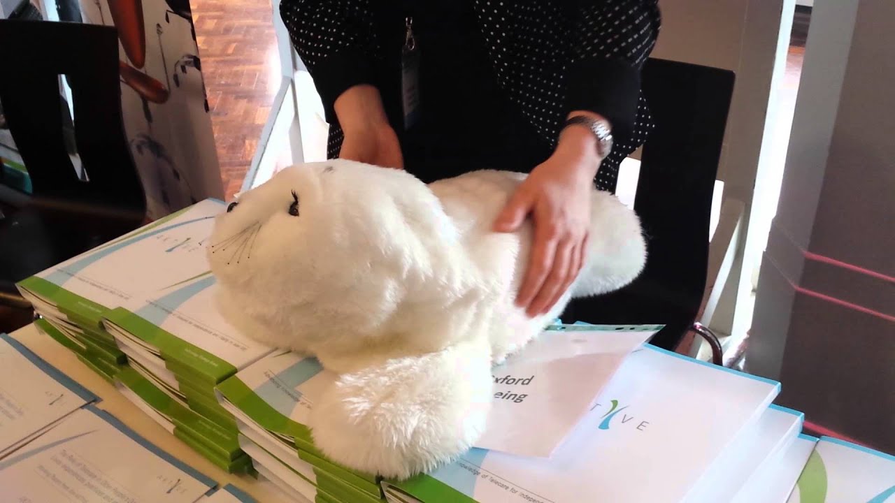 Paro the interactive seal at #Aktive2014 - YouTube