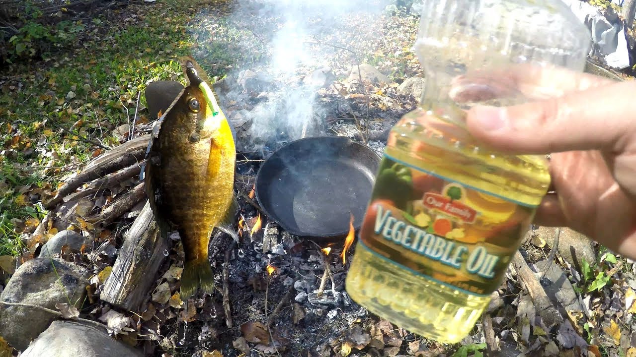 Catch and Cook Bluegill over a CAMPFIRE ?! - YouTube