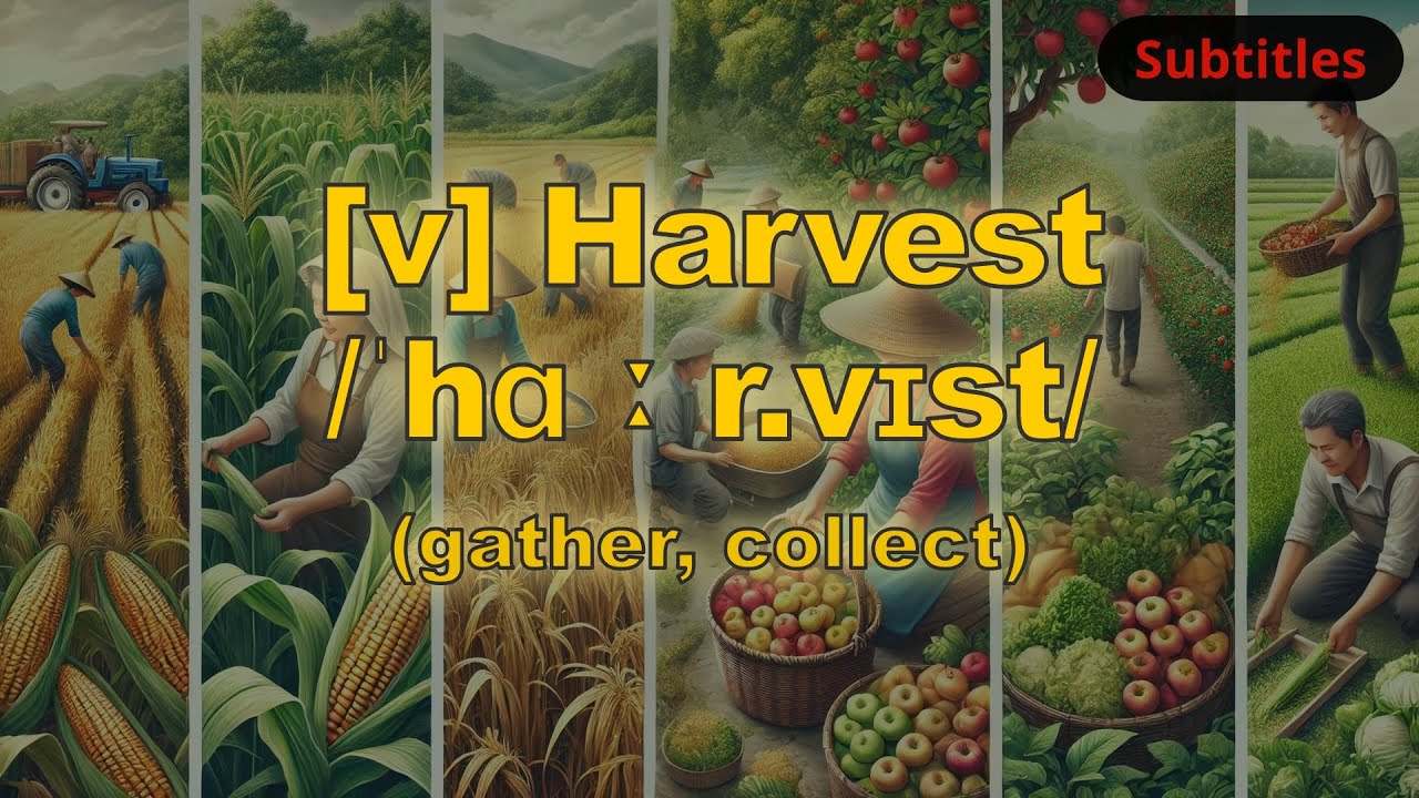 [v] Harvest meaning (gather, collect) with 5 examples - YouTube