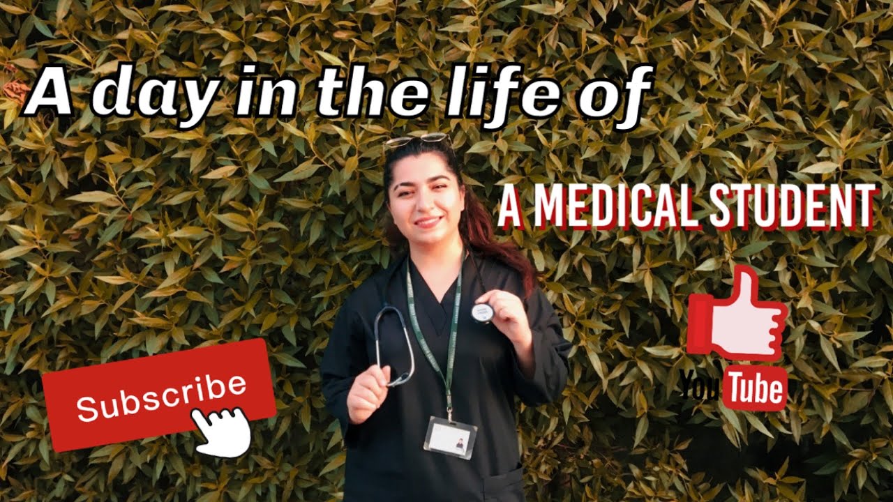 A day in the life of a DPT student - YouTube