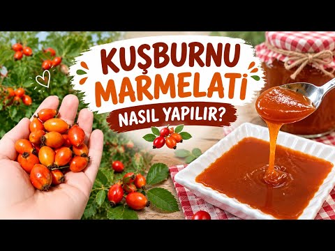 Kuşburnu marmelatı nasıl yapılır ? faydaları çok, lezzeti harika, C vitamini deposu mutlaka deneyin