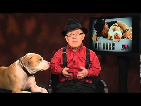 Shorty Rossi Pit Boss - YouTube