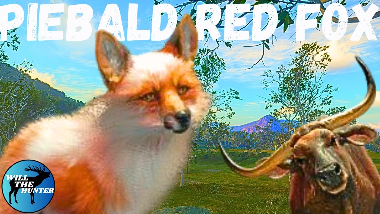 Emerald Coast Trophy Hunt: Very Rare Piebald Red Fox + More TheHunter ...
