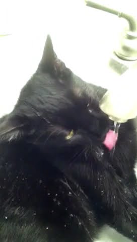 Steve drinking water - YouTube