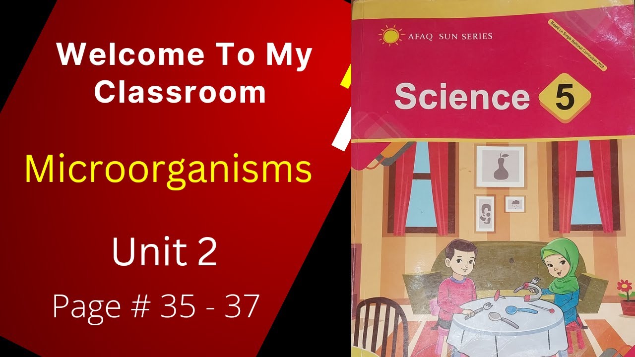Class 5 Afaq Science Unit 2 Microorganisms Lecture 2 YouTube class-5-afaq-science-unit-2-microorganisms-lecture-2-youtube