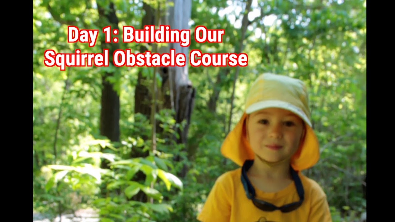 Squirrel Obstacle Course: Day 1! - YouTube