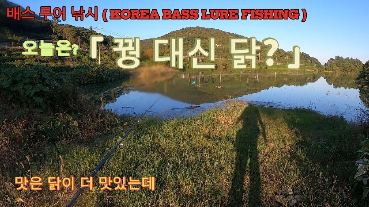오늘은 꿩대신 닭 배스 루어 낚시 KOREA BASS LURE FISHING - YouTube