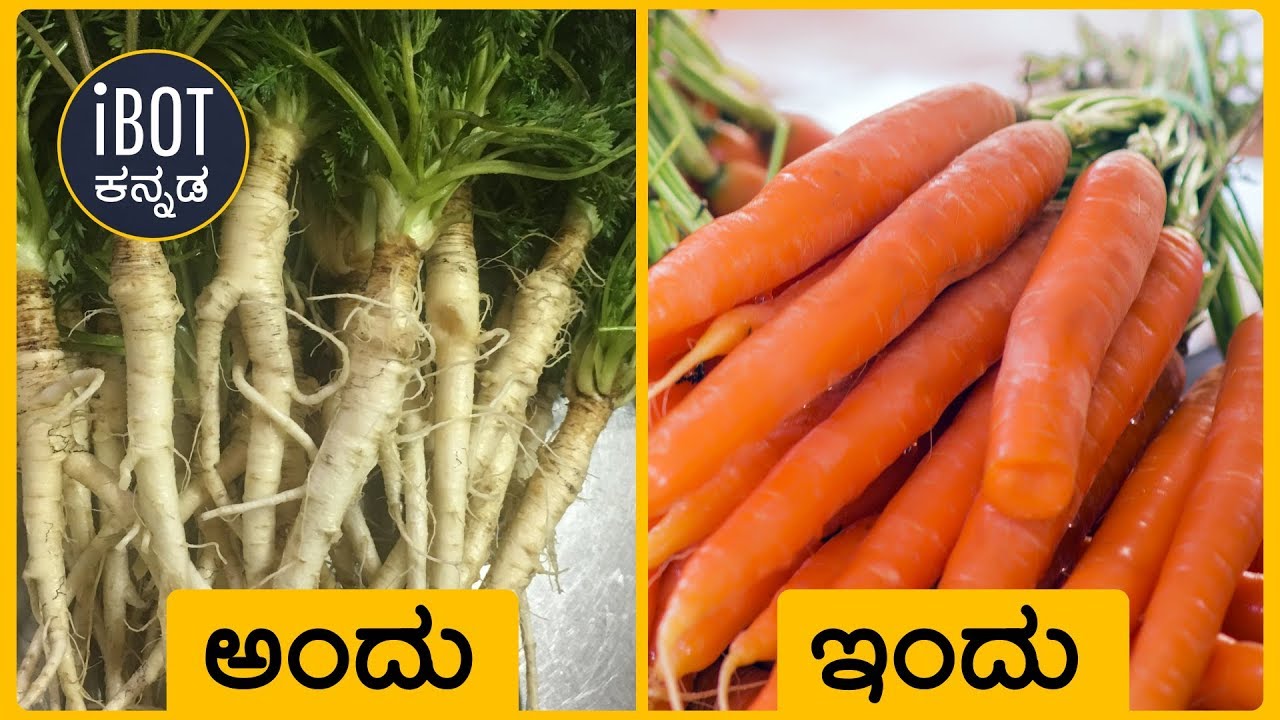 ಹಣ್ಣು ಮತ್ತು ತರಕಾರಿಗೆ ಸರ್ಜರಿ ಆಗಿದ್ಯಾ? | FRUITS & VEGETABLE BEFORE ...