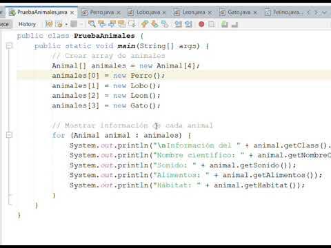 PROGRAMACION ORIENTADA A OBJETOS (POO) EN JAVA - YouTube