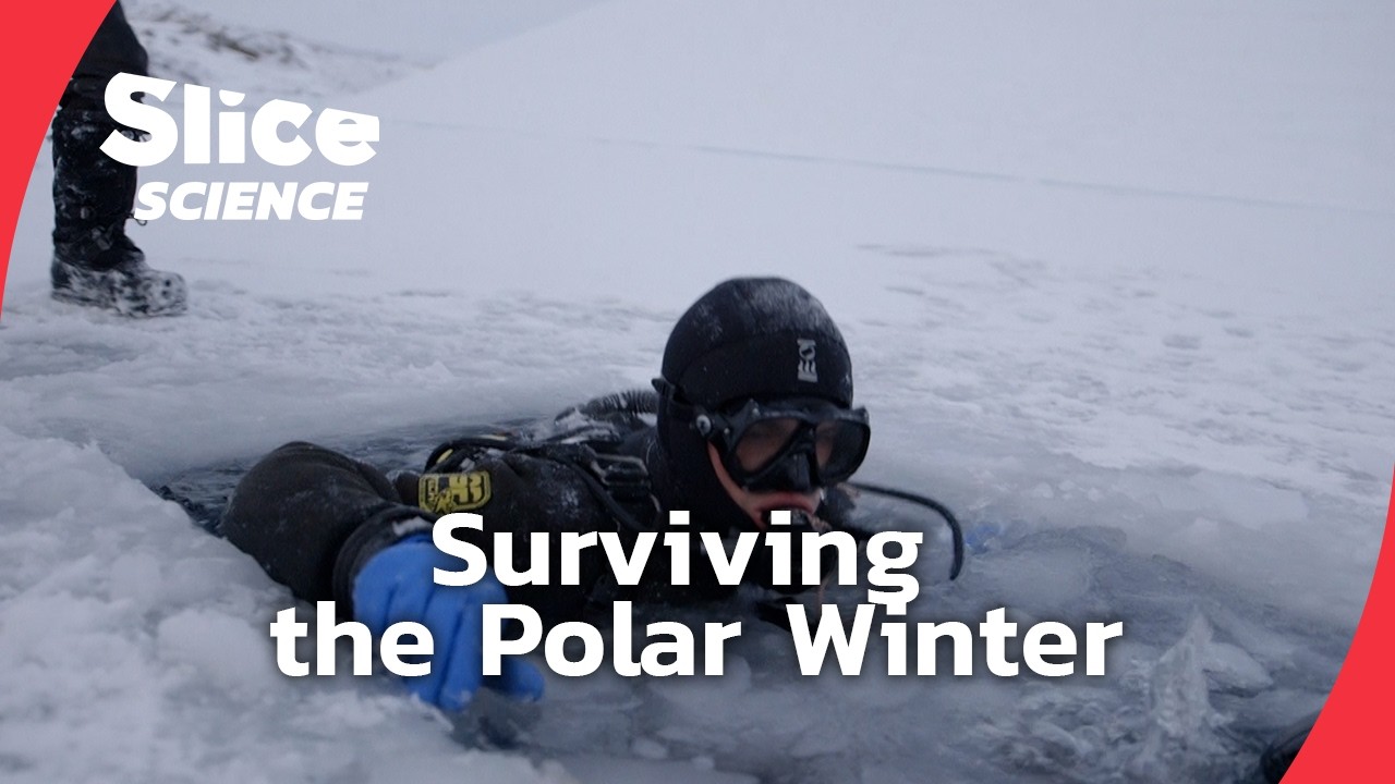 Trapped in the Ice: A Polar Expedition | SLICE SCIENCE - YouTube