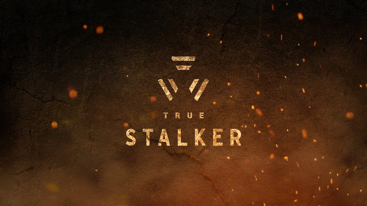 True Stalker. Стрим Второй. Покорение Свалки - YouTube