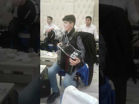 Oruc Aliyev Berde Toyu (METIN)