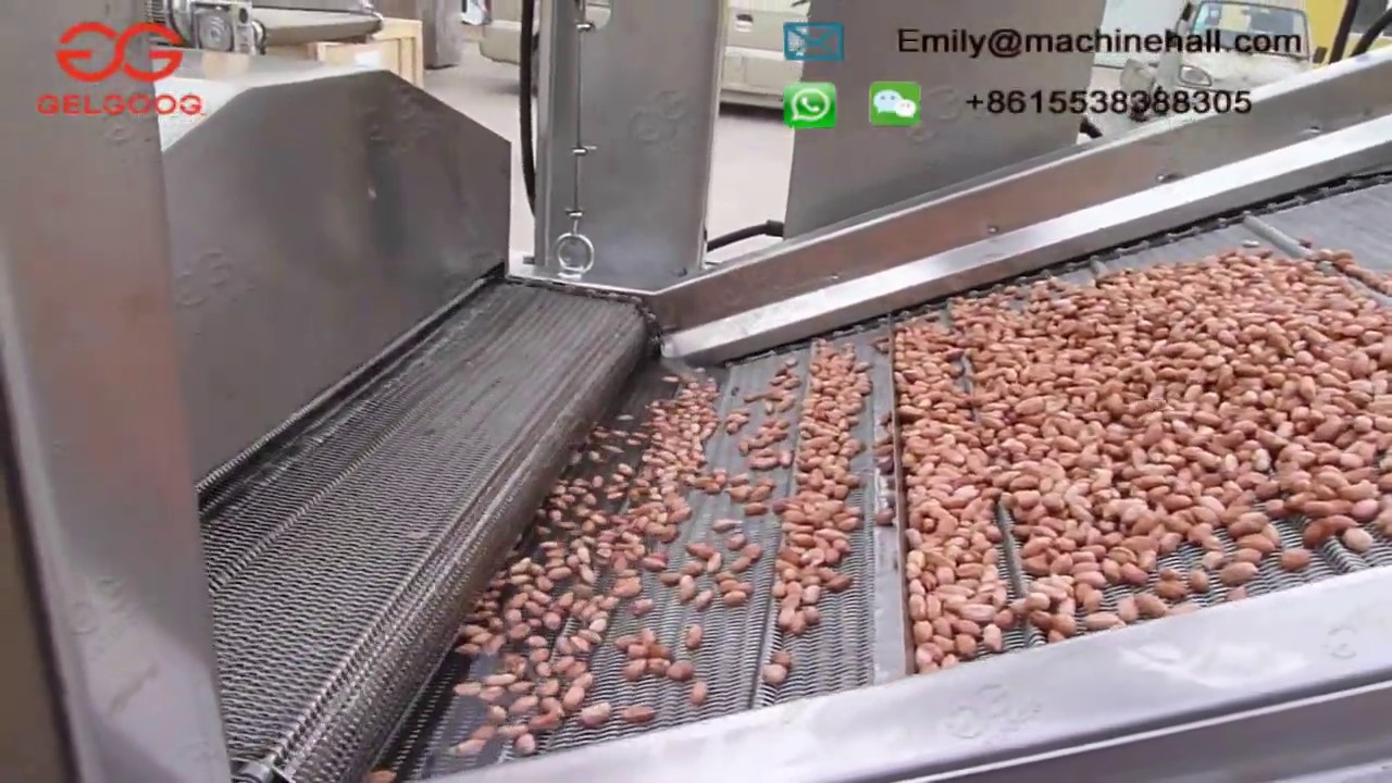 Peanut Continuous Frying Machine/Groundnut Deep Fryer Machine - YouTube