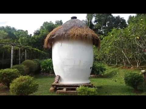 Paddy Storage ( වී බිස්ස ) - YouTube