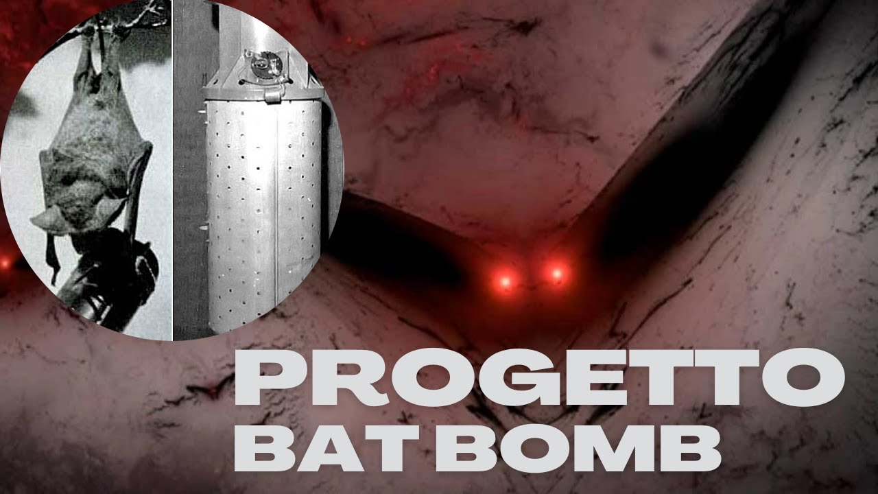 Progetto Bat Bomb: quando gli USA usarono Batman per sconfiggere i ...