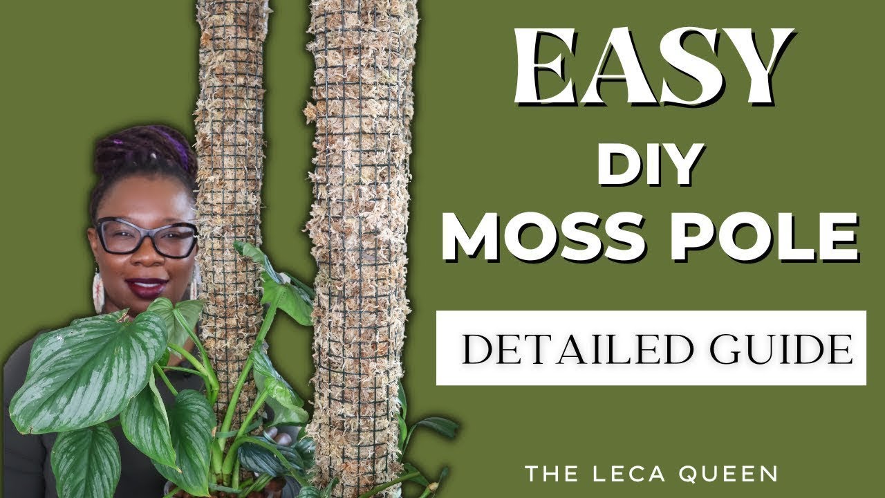 How to Make a SIMPLE Moss Pole - Step by Step For Beginners - YouTube