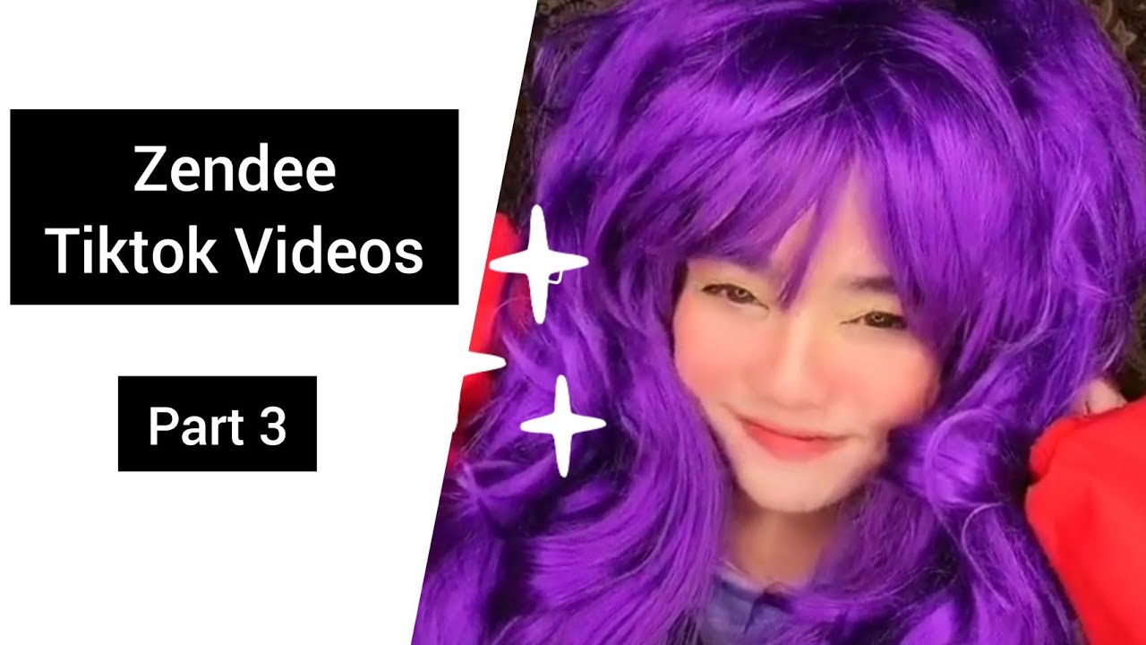 ZENDEE | TIKTOK COMPILATION VIDEOS | PART 3 - YouTube