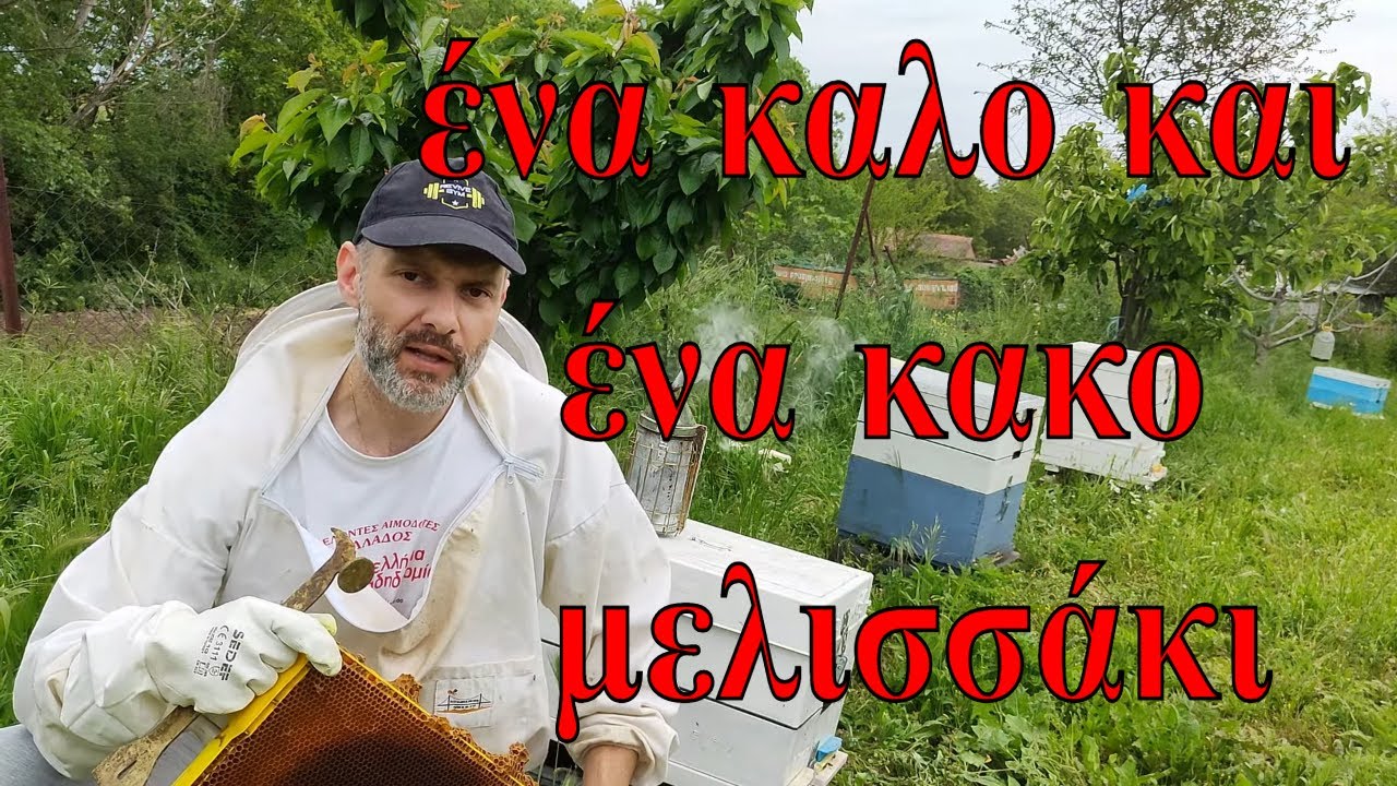 ένα καλο και ένα κακο μελισσάκι - YouTube