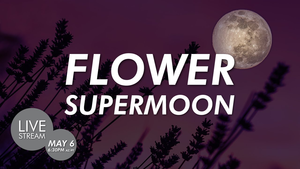 Flower Supermoon 2020 Super Flower Moon Livestream Youtube