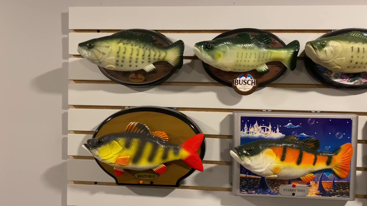 Singing fish collection update (1-11-2021) - YouTube