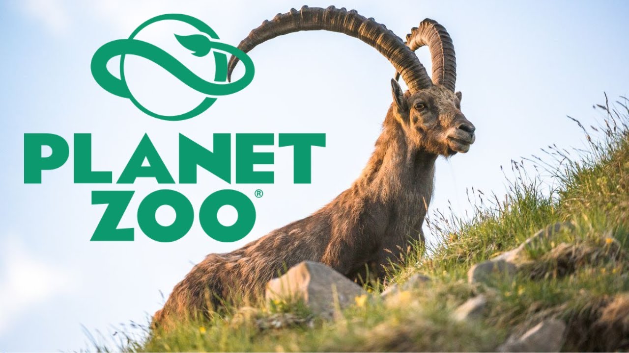 Alpine Ibex Habitat Speed build: Planet Zoo - YouTube