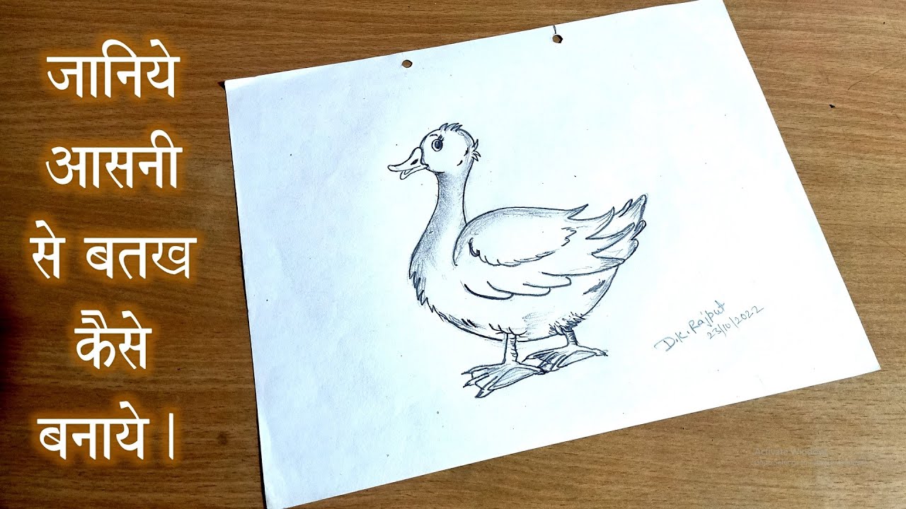 How to Draw Duck By Pancil | Duck Drawing | Pencil Arts | Duck Pancil ...