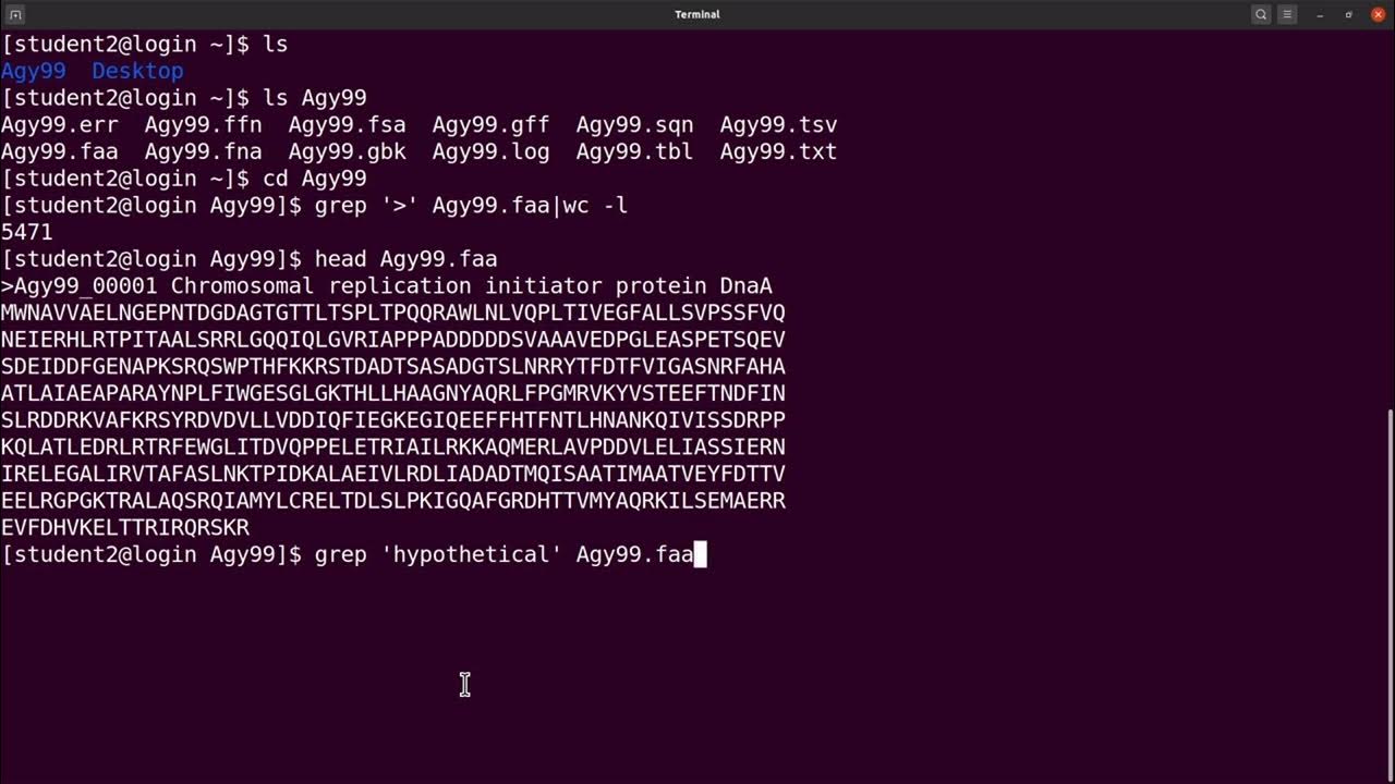 Prokka Tutorial genome annotation output files - YouTube