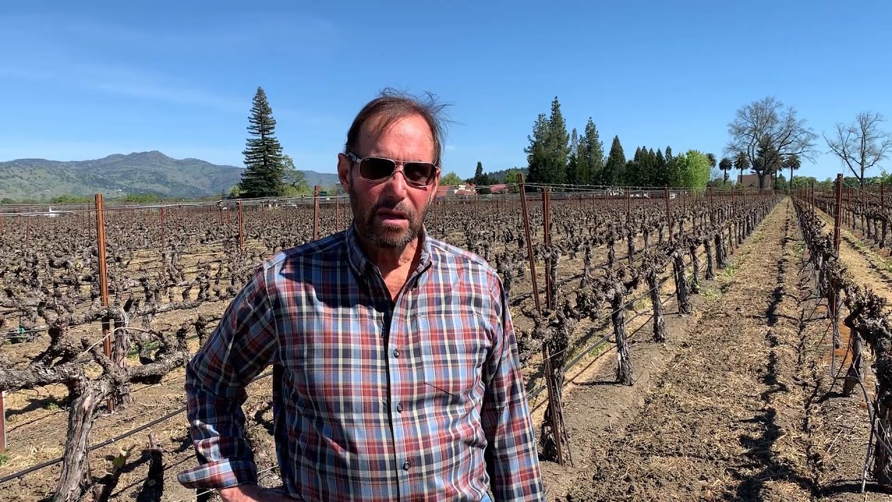 In the Vineyard with Andy Beckstoffer: Replanting Cabernet - YouTube
