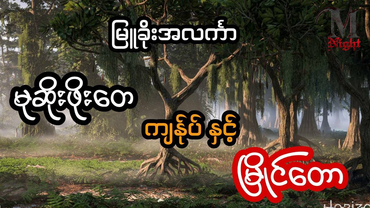 မုဆိုးကြီးဖိုးတေ ကျန်ုပ် နှင် မြိုင် စဆုံး Youtube