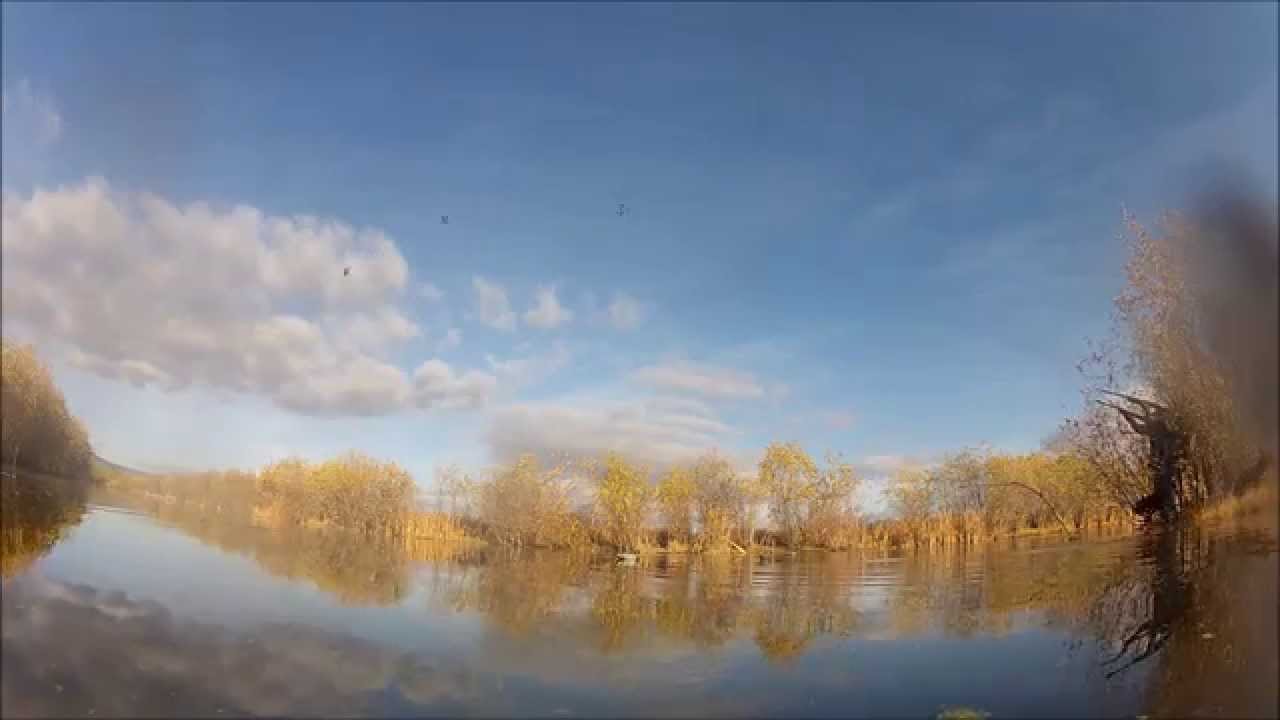 Eastern Oregon Duck Hunting with Team No Fly Zone and the GoPro Hero 2 ...