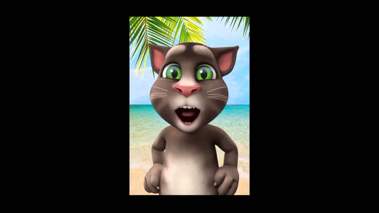 talking tom for messenger - YouTube