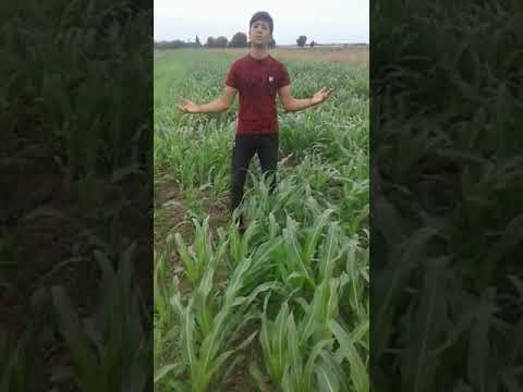 Minexorluda Yeni Tural Sedali !!!!ÇIKDI!!!!