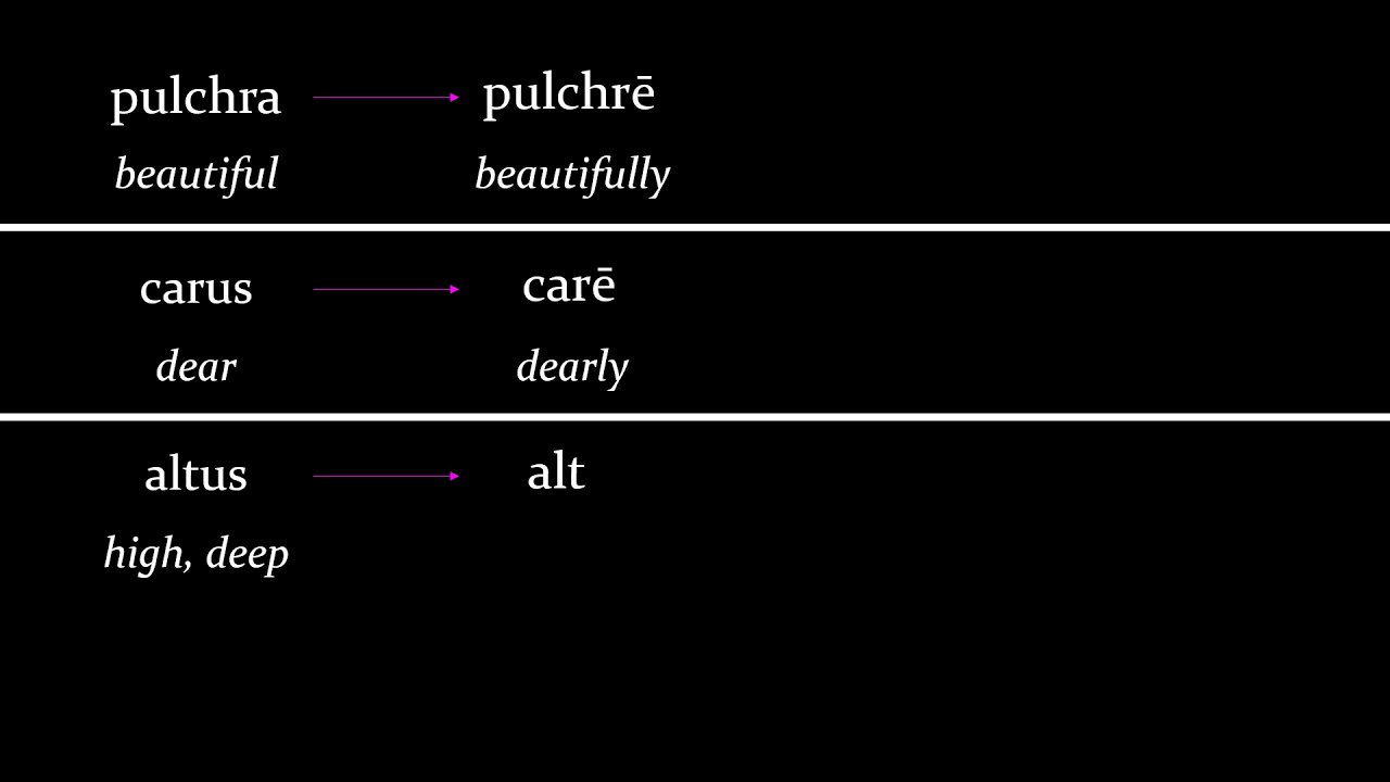 Latin Adverbs - YouTube