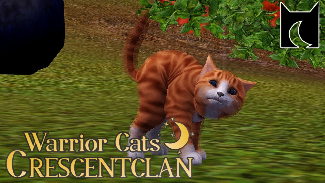 A Stormy Day In Crescentclan Territory 🌙 Sims 3 Warrior Cats Challenge ...