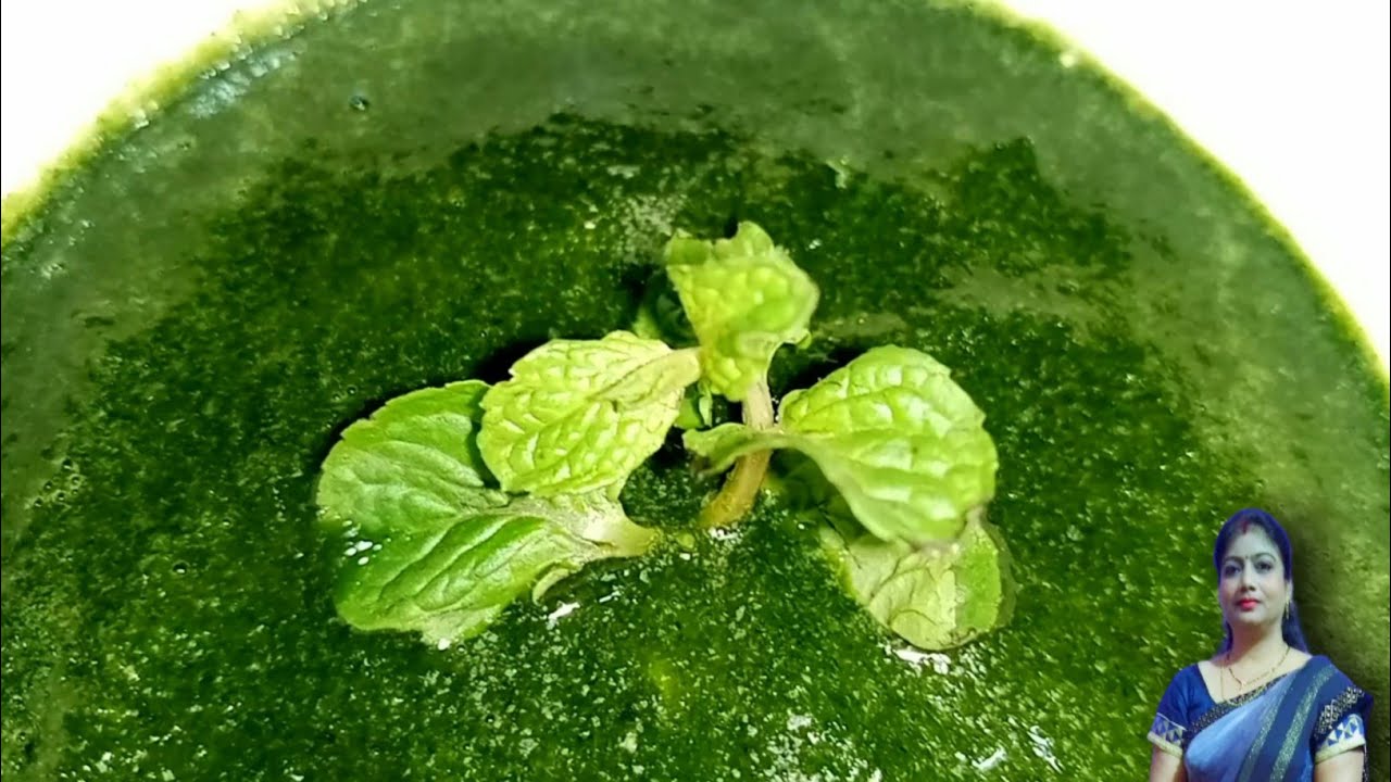 Chutney Restaurant Style | Green Chutney | Mint Chutney Recipe | Pudina ...