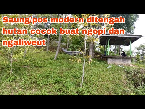 saung modern ditengah hutan cocok buat ngopi dan ngaliweut - YouTube