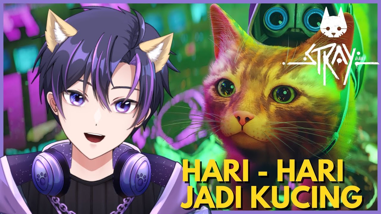 Cosplay Kucing Oren【 Vtuber Indonesia - Stray 】 - YouTube