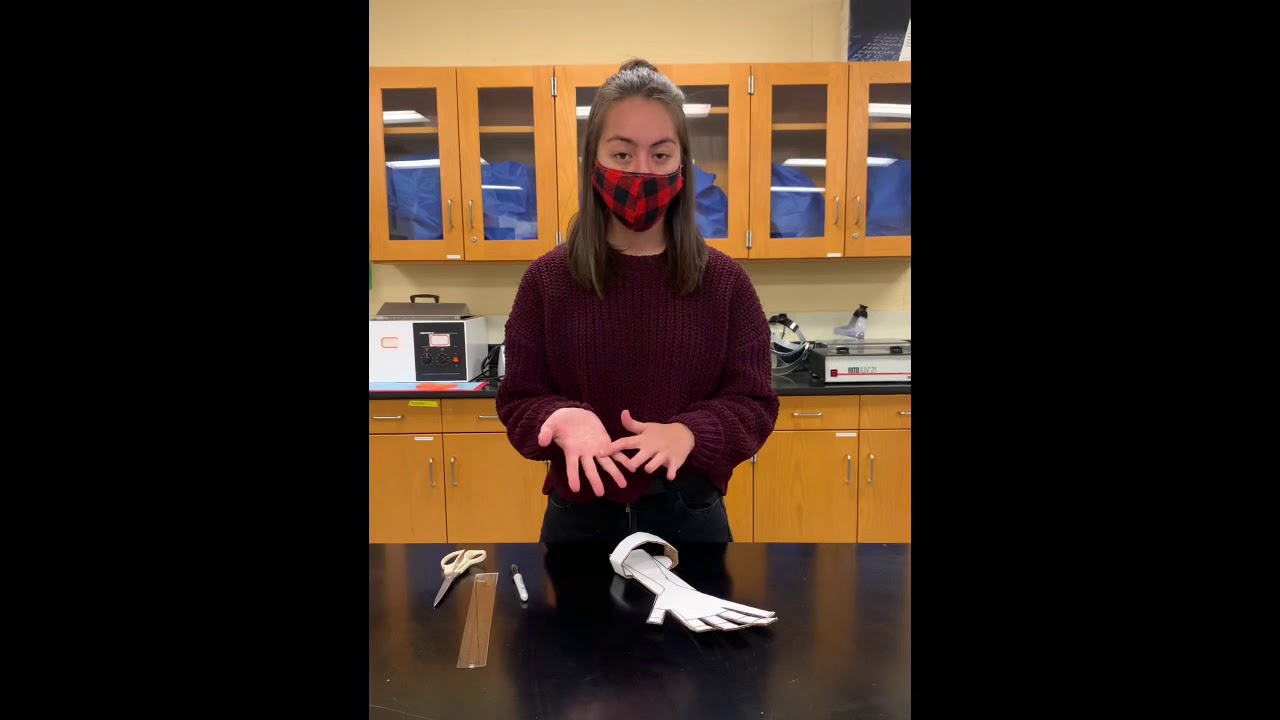 STEM Activity Tutorial - Prosthetic Hand - YouTube