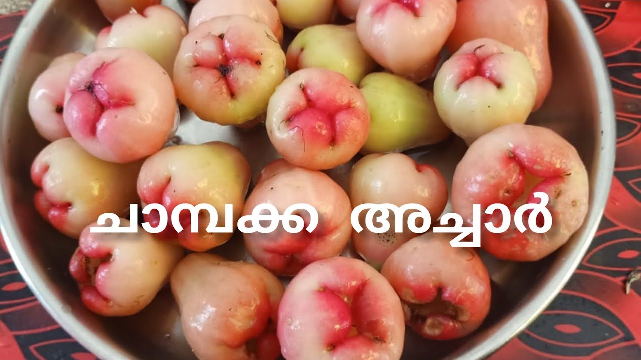 How to make Rose apple pickle|ചാമ്പക്ക അച്ചാർ - YouTube