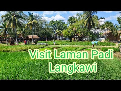 Visit Laman Padi Langkawi. Free of charge & very informative place ...