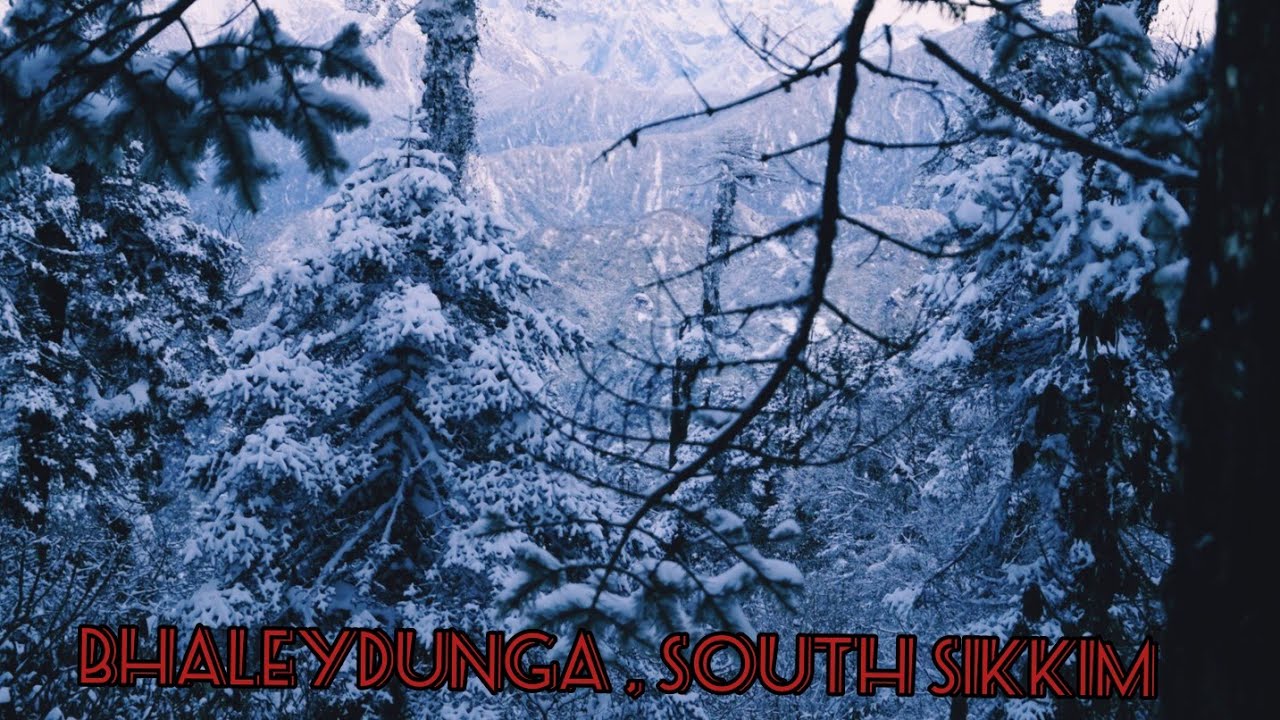 Bhaleydunga Trek / Maenam wildlife sanctuary | South Sikkim| Nikhil ...
