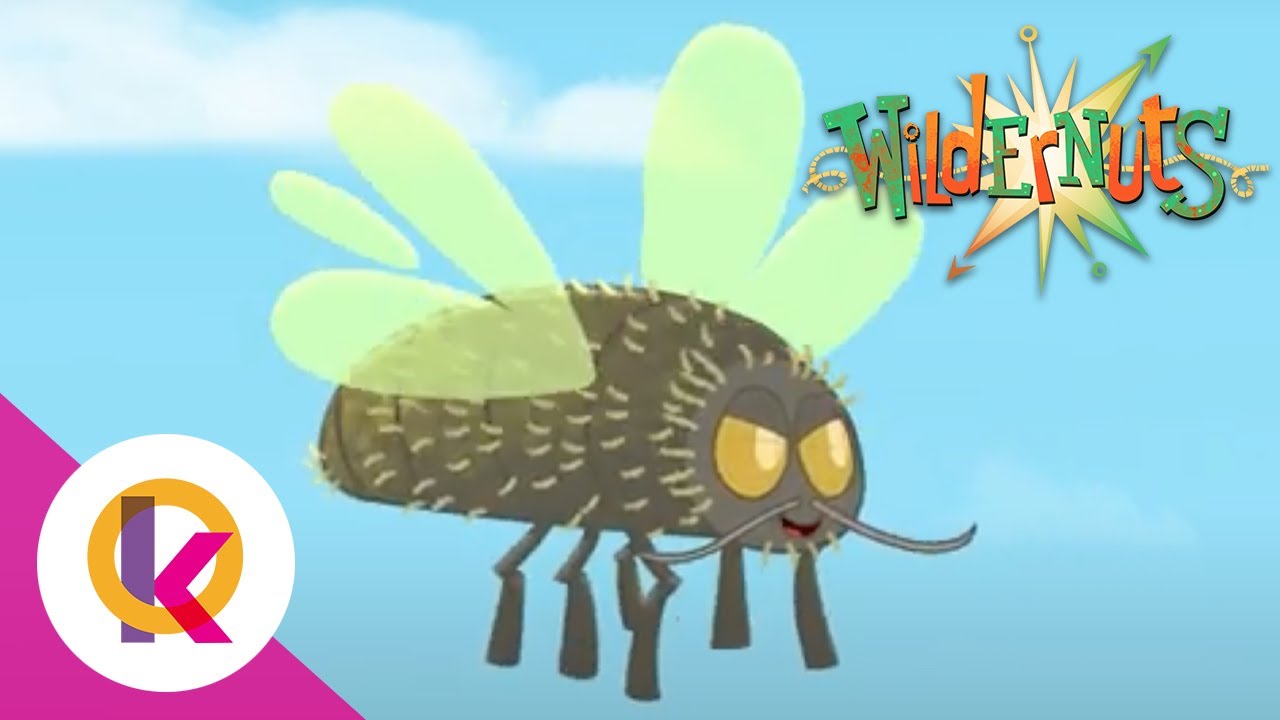 🌰 🚀 Wildernuts - Tuchi's Alarm Call | S1 E20 | Kids Learning ...
