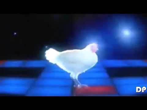 Damat halayını duyan tavuklar