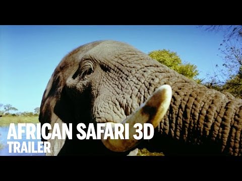 AFRICAN SAFARI Trailer | TIFF Kids 2014