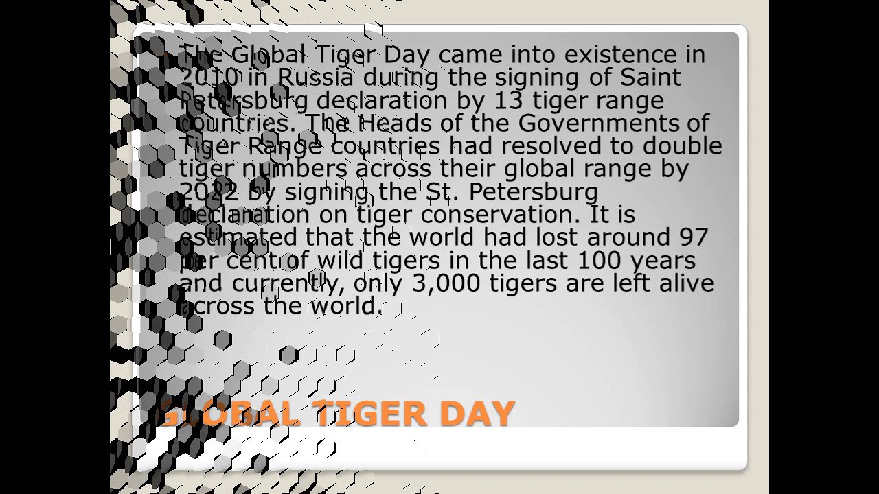 PowerPoint Presentation on world tiger day - YouTube