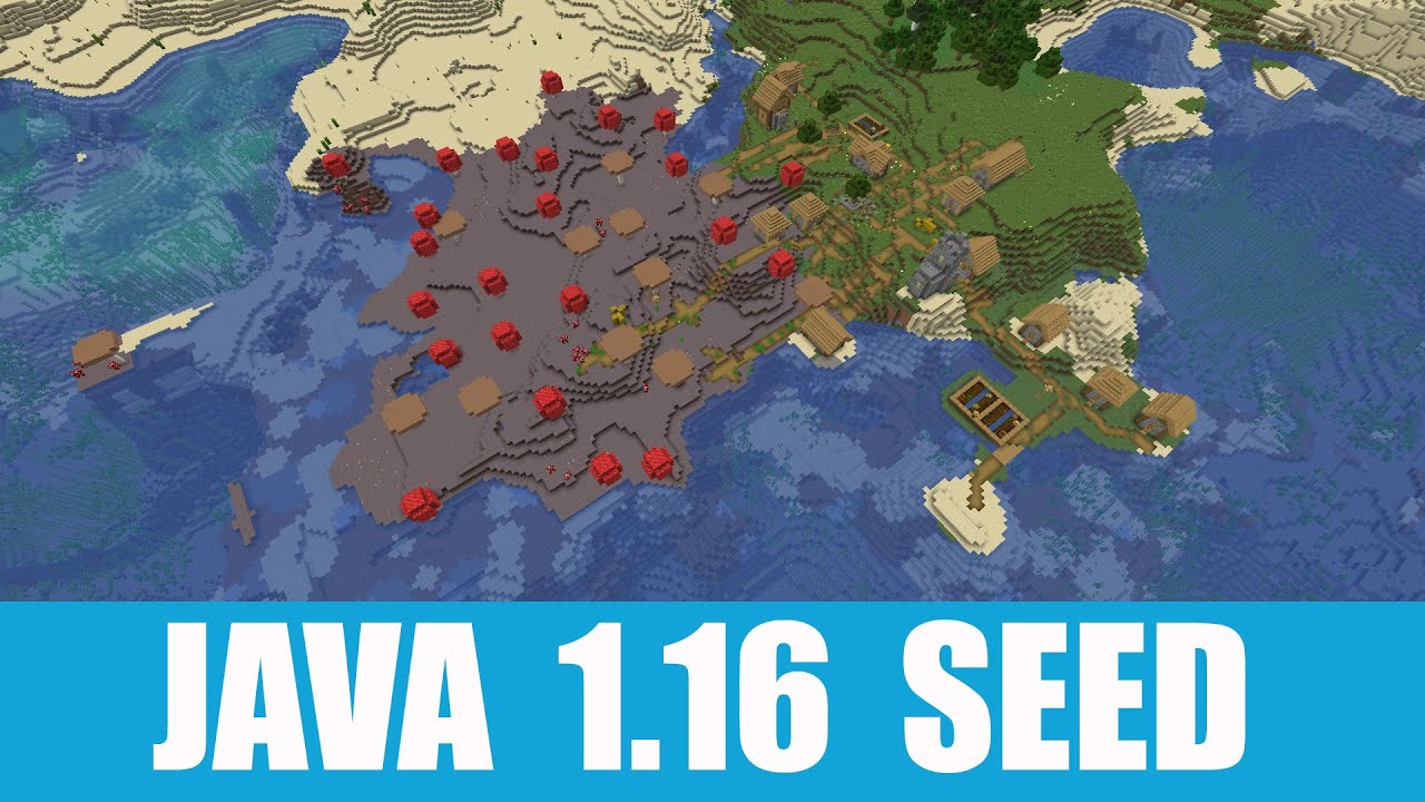Minecraft Java 1.16 Seed: Tiny mushroom field with village and ...