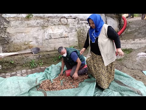 ALLAHIM SENEYE DE  NASİP EDER İNŞALLAH 🙏🏽 FINDIĞIMIZI PATOZO VERDİK 💯 💯 😌